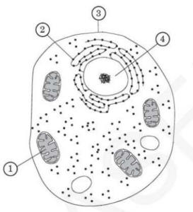 EOC Biology Practice Test 2023 (Online Quiz) Part 2