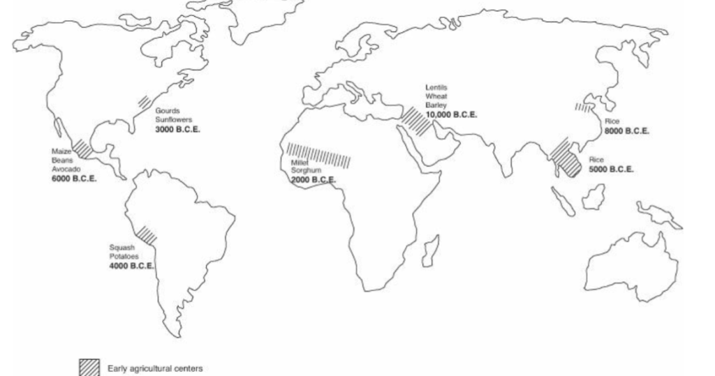 AP World History Practice Test Chapter 2 [UPDATED]