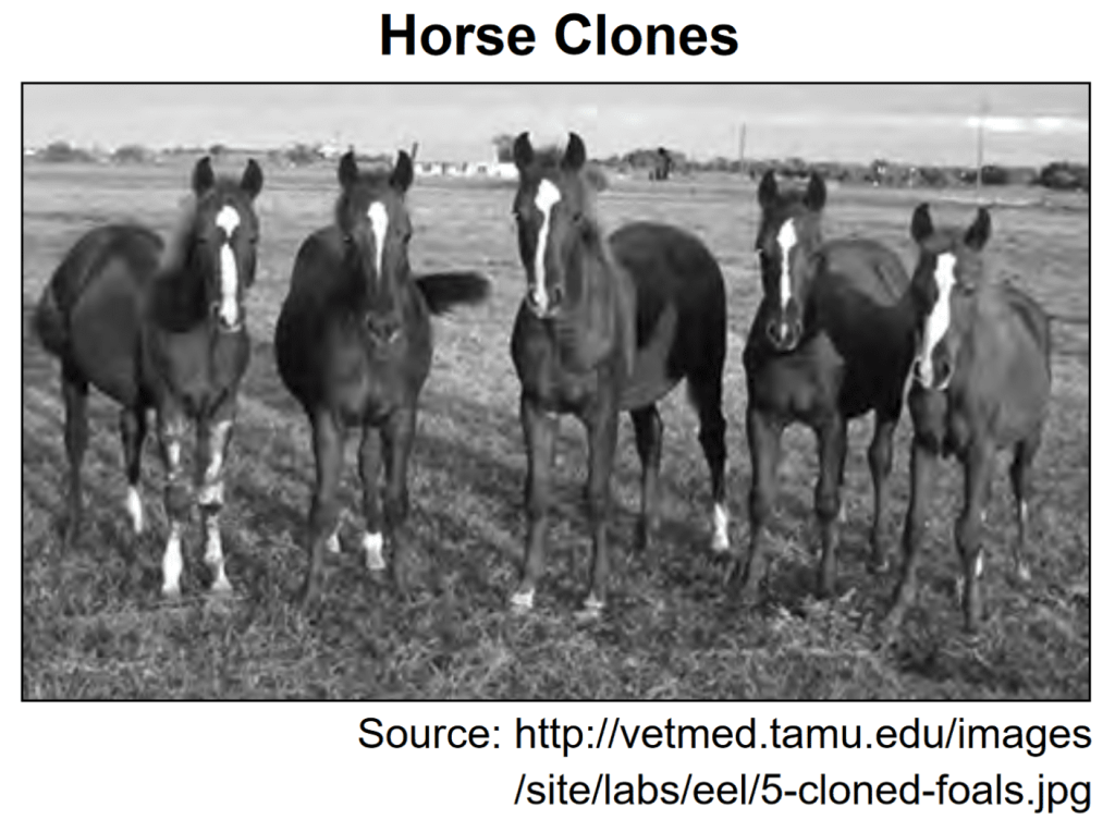 Regents Living Environment Practice Test 2023 Review with Answer Keys