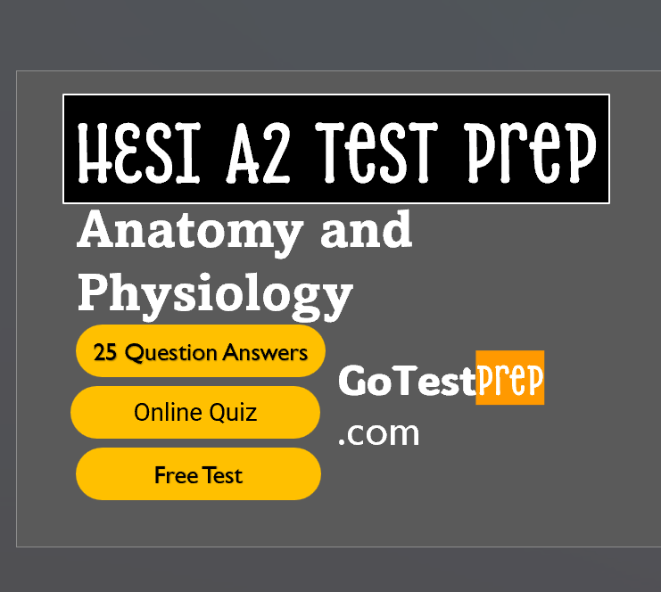 HESI A2 Anatomy and Physiology Practice Test [2024]