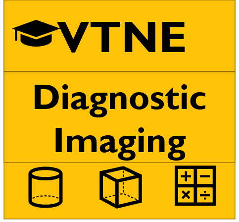 VTNE Diagnostic Imaging Practice Test Questions Answers