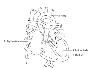 NLN NEX Science Practice Test 2026 [Timed] 55 Questions